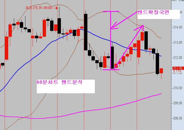 백리향의 시장읽기 11월 26일 상하 왕복달리기 선옵전문가분석 선물옵션 팍스넷 증권포털